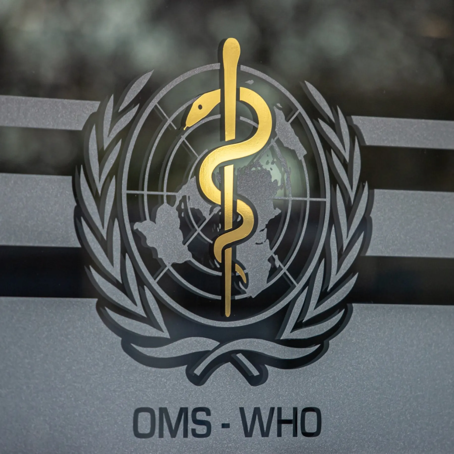 Mystery illness kills over 50 in Congo, patients die within 48 hours ...